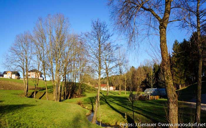 Am Mühlbach z’Mühlbach - Moosdorf Live - auf die Menschen kommt es an
