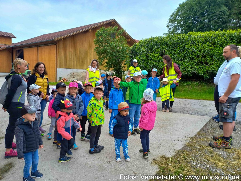 Kindergarten goes Bauernhof... - Moosdorf Live