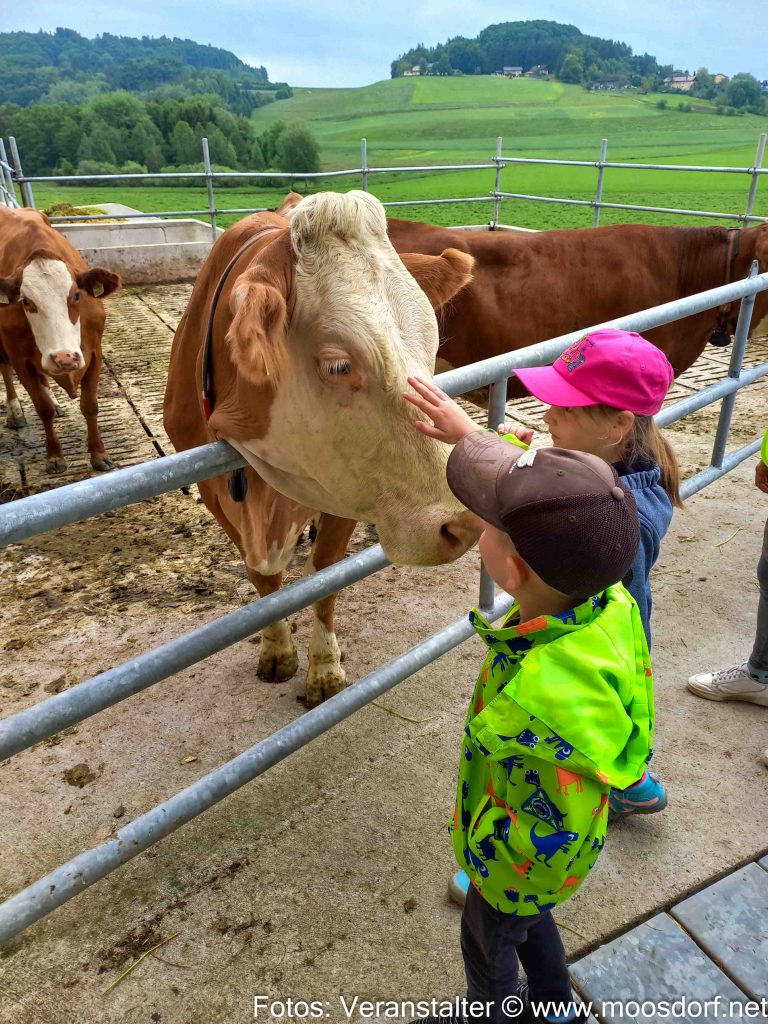 Kindergarten goes Bauernhof... - Moosdorf Live