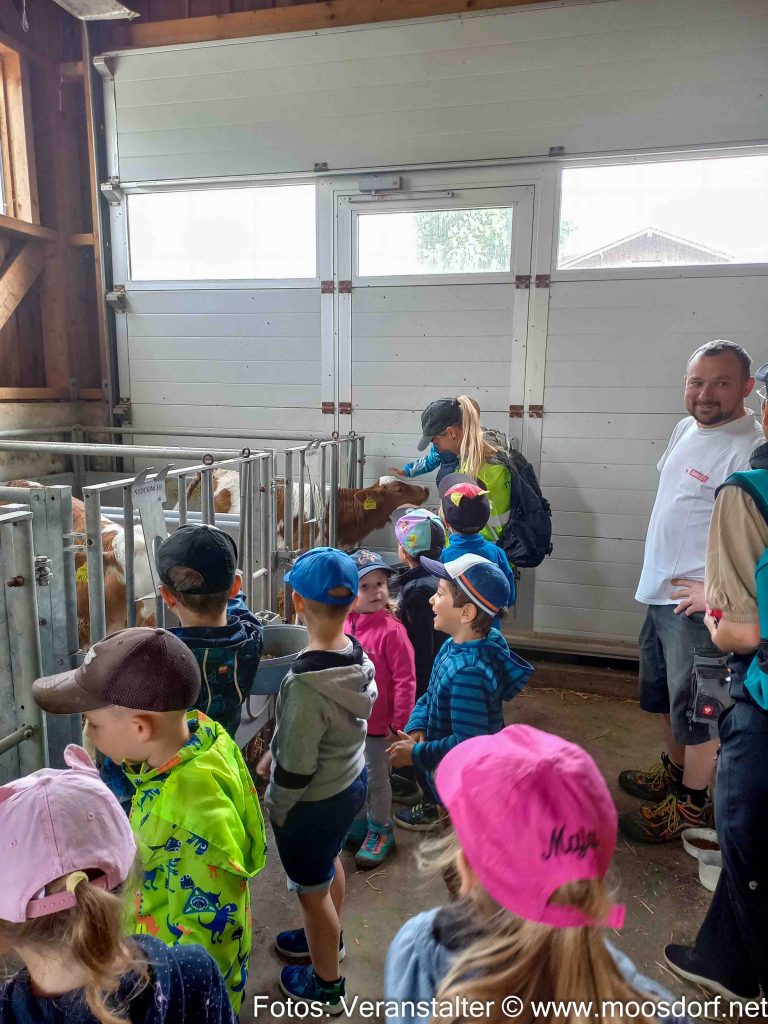 Kindergarten goes Bauernhof... - Moosdorf Live