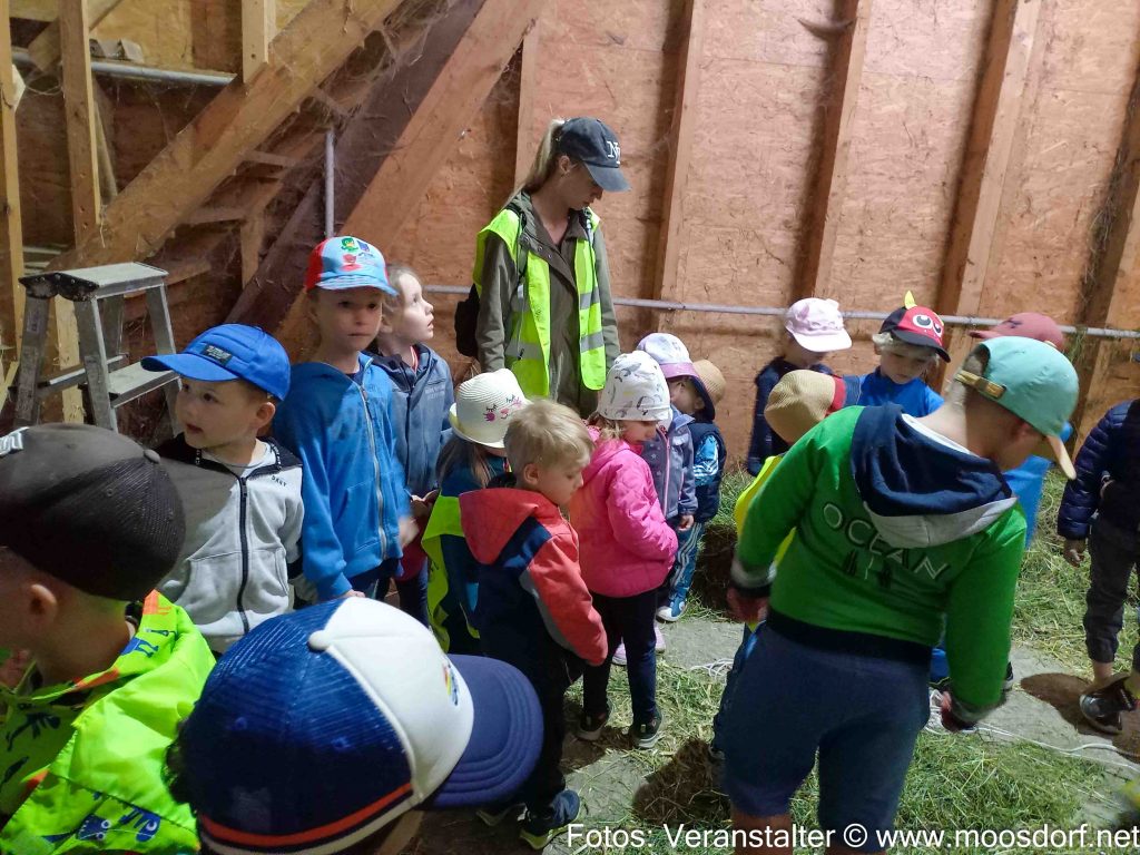 Kindergarten goes Bauernhof... - Moosdorf Live